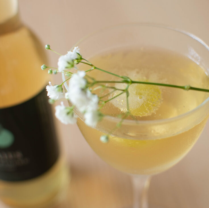 La Hestà | Cocktail pétillant au Verjus | Verjus du Siorac